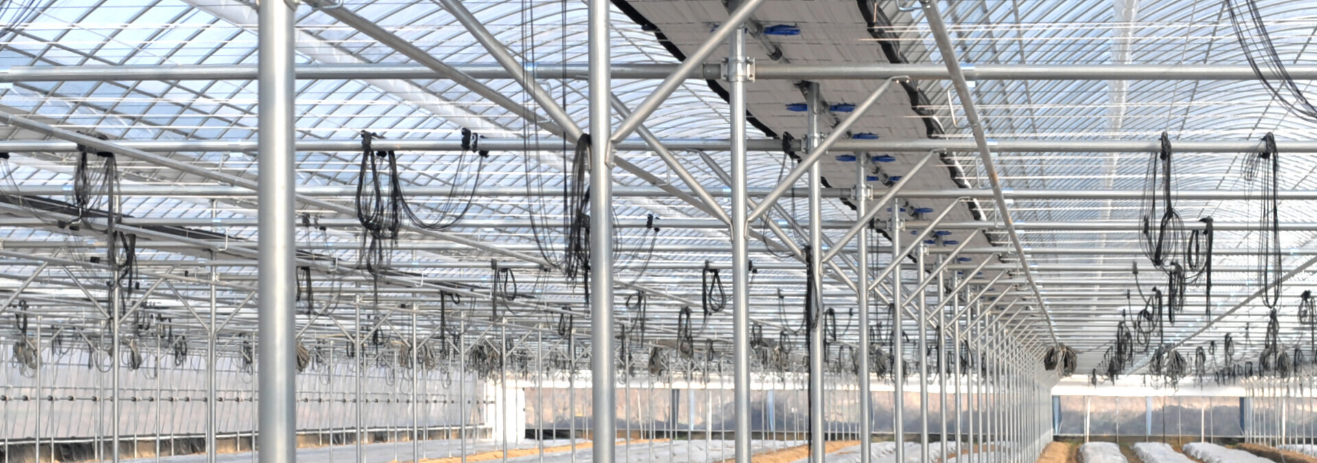 Sysco Co., Ltd. produces and supplies agricultural materials for 30 years.