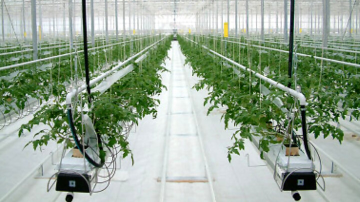 Sysco Co., Ltd. produces and supplies agricultural materials for 30 years.